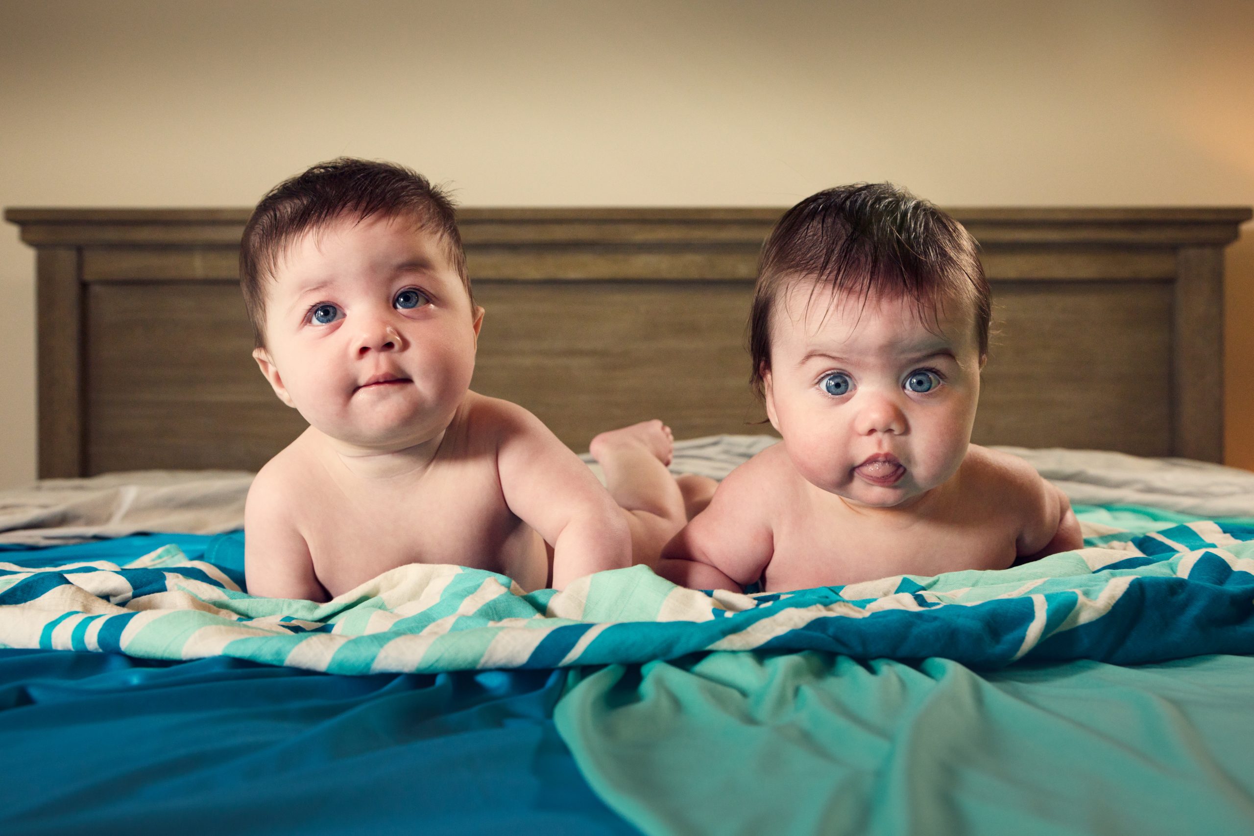 High Art Baby Portraits (i.e., Butts) – The Black Laser